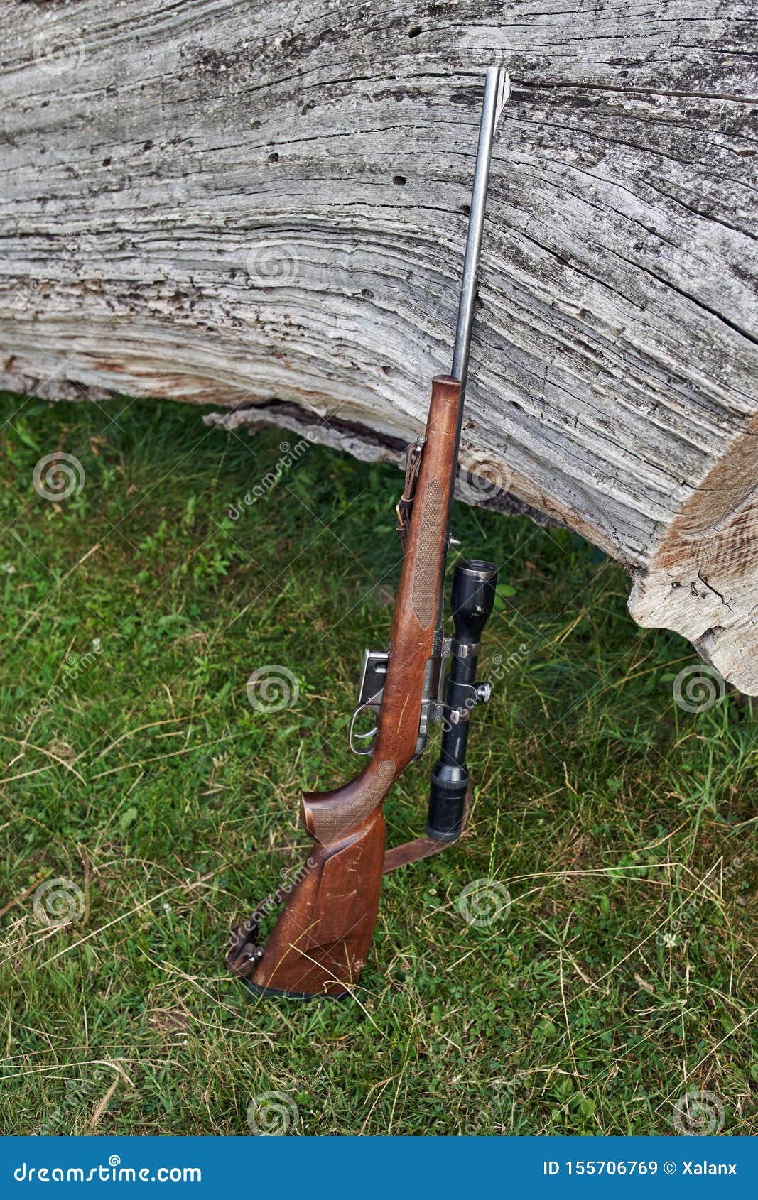 Hunting rifle with scope stock image. Image of reticle - 155706769
