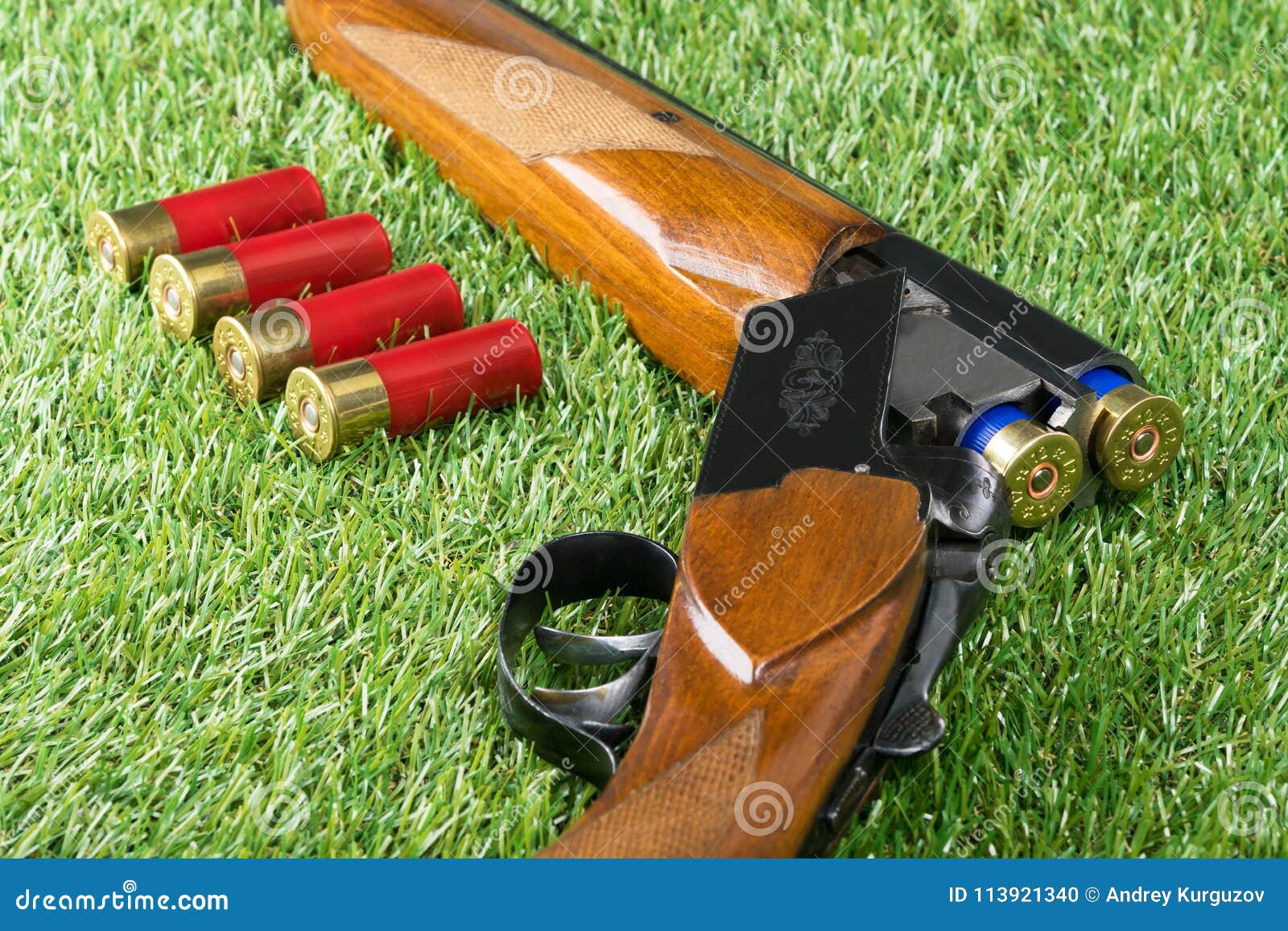 Hunting Rouge Lying on the Grass with Red Cartridges Stock Photo ...
