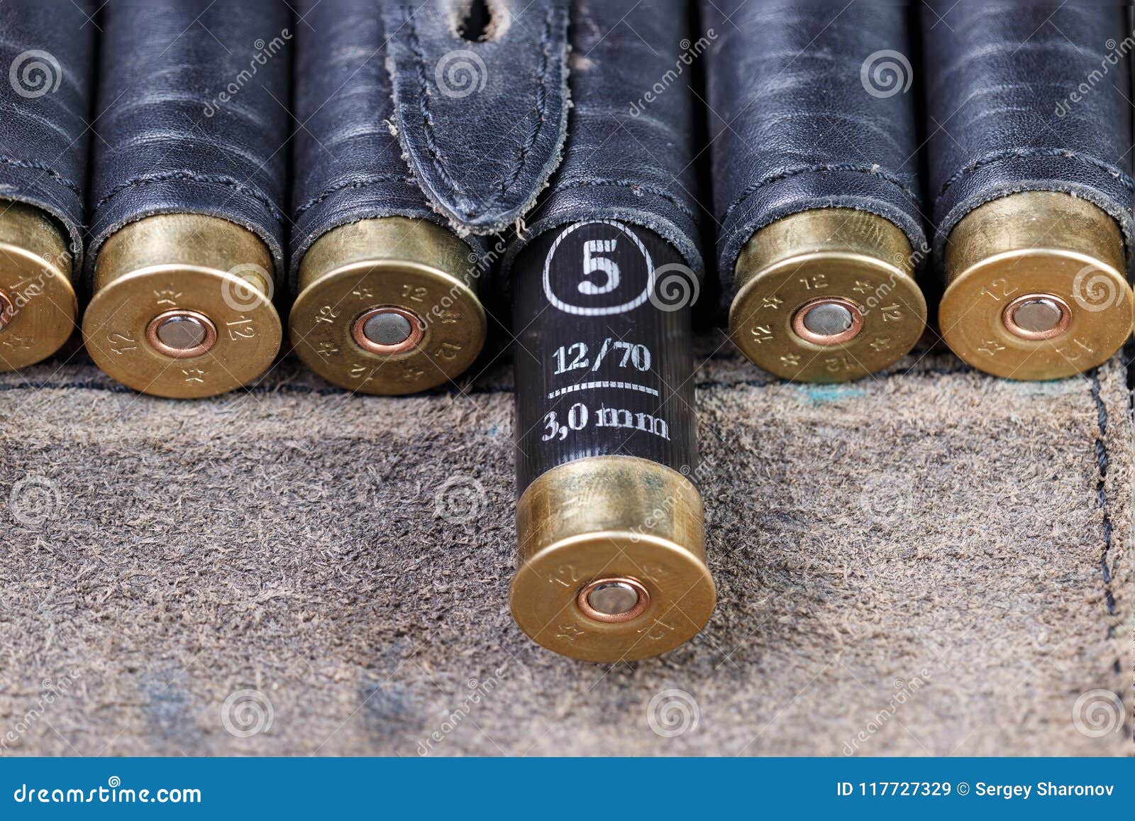 Hunting shells stock image. Image of zealously, capsule - 117727329