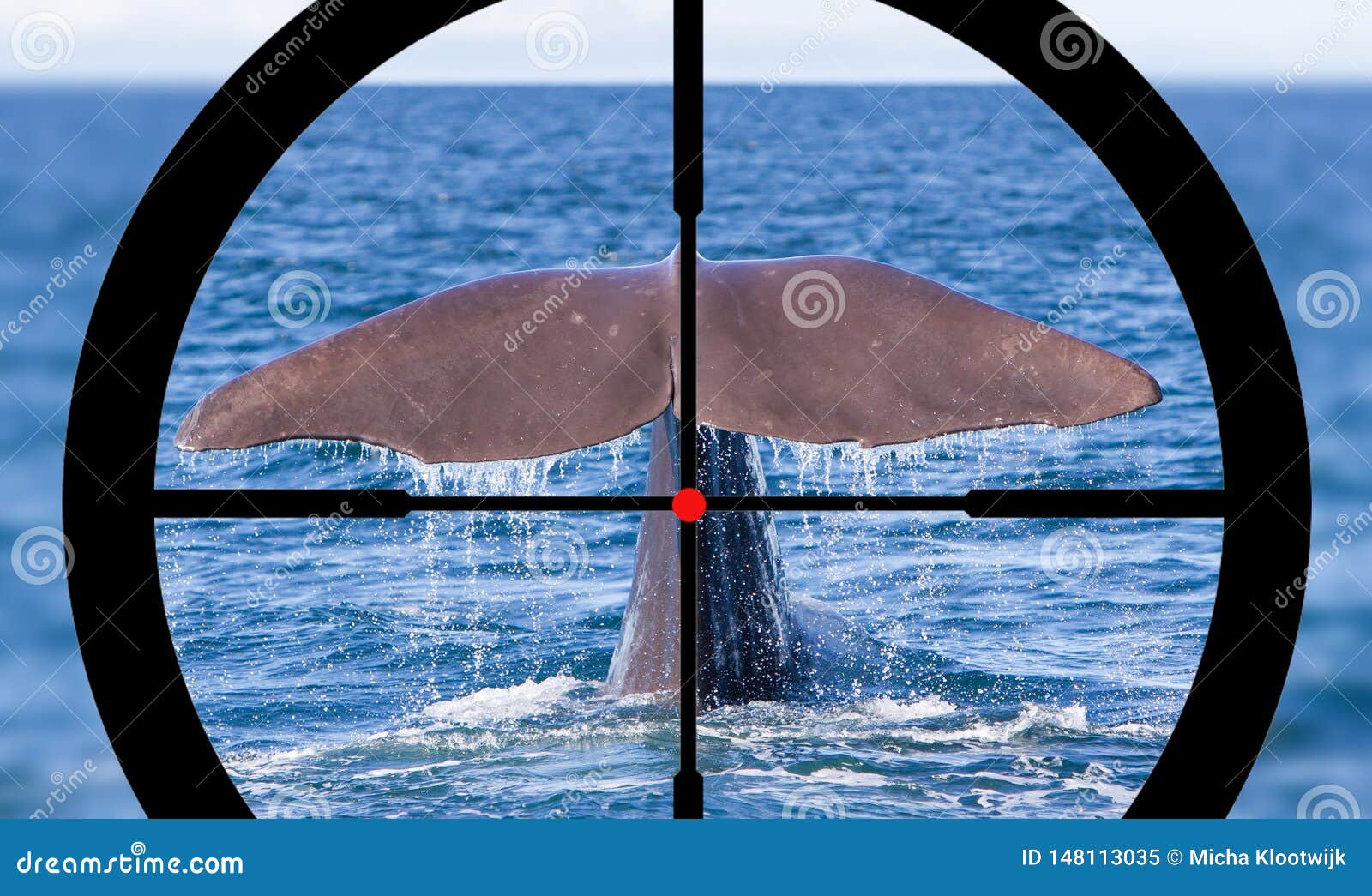 Hunting a Sperm Whale stock image. Image of hunting - 148113035