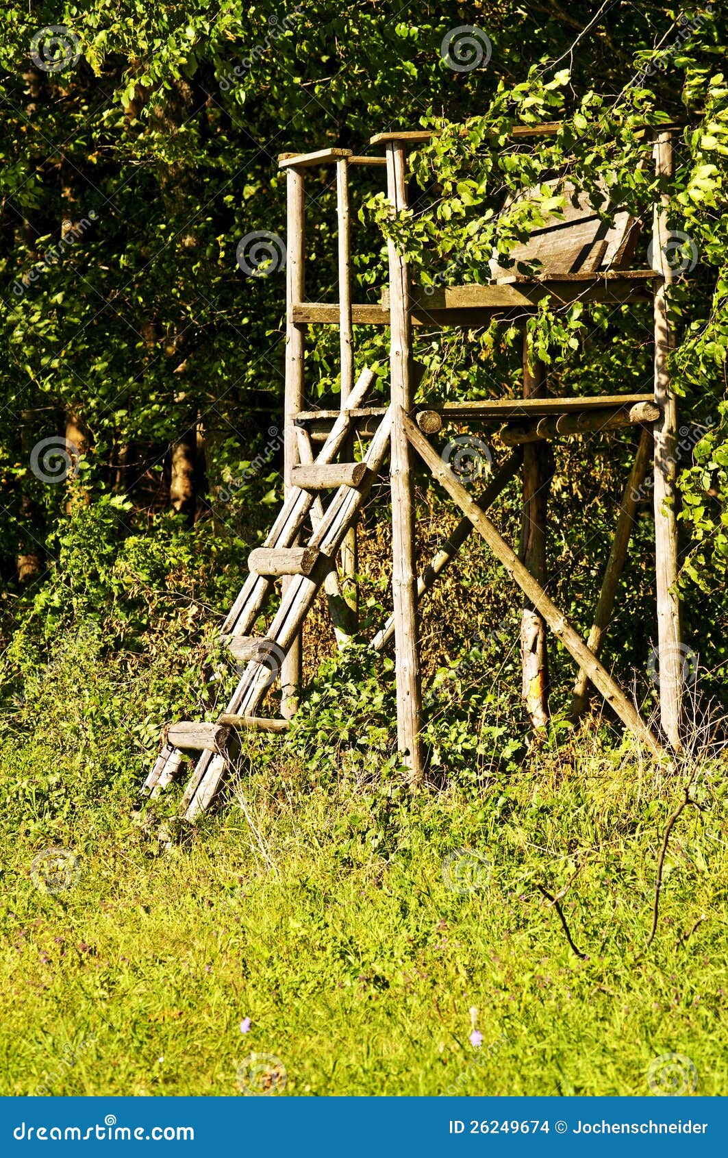 Hunting stand stock photo. Image of meadow, leisure, green - 26249674