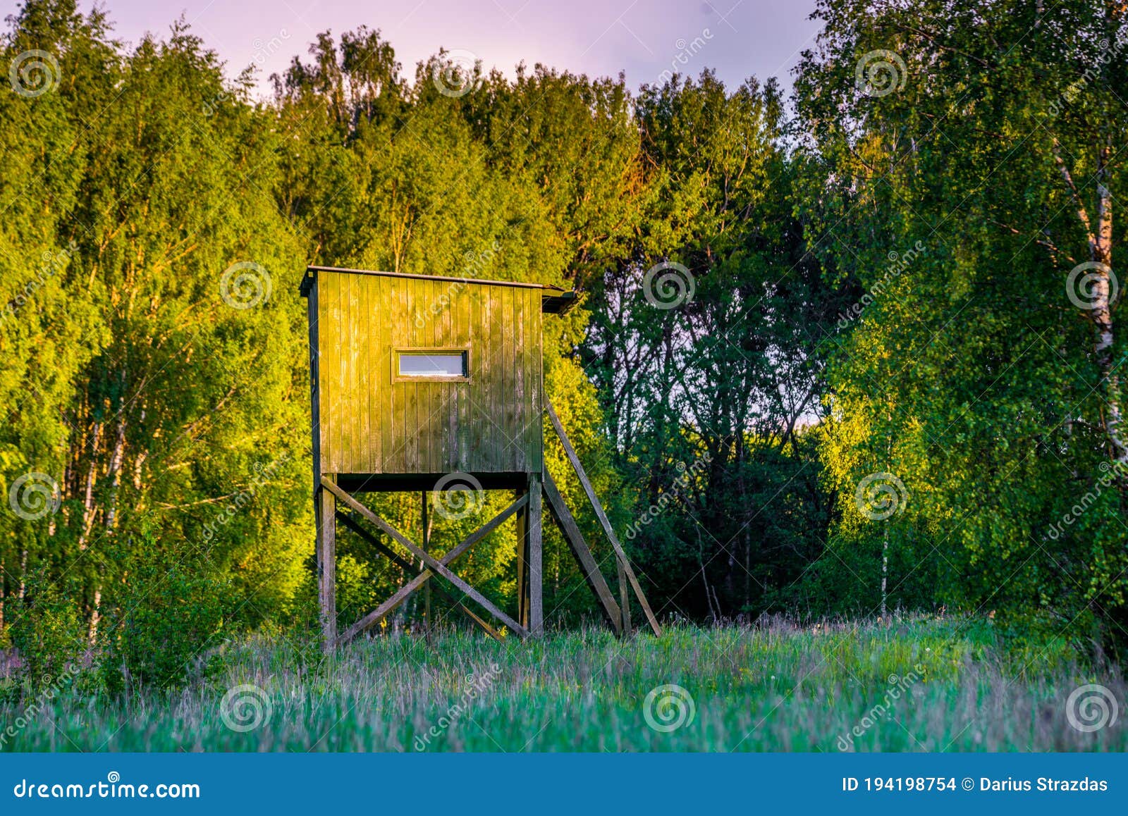 Hunting Stand Box Near Forest Stock Photo - Image of area, outdoors ...