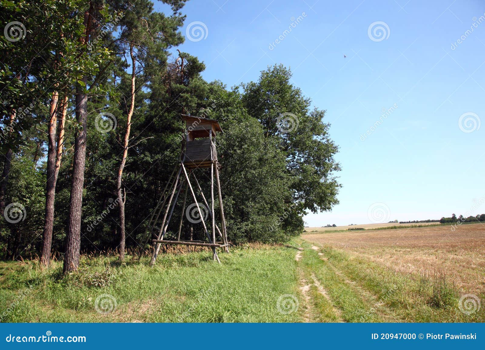 Hunting tower stock photo. Image of tower, deer, hunting - 20947000
