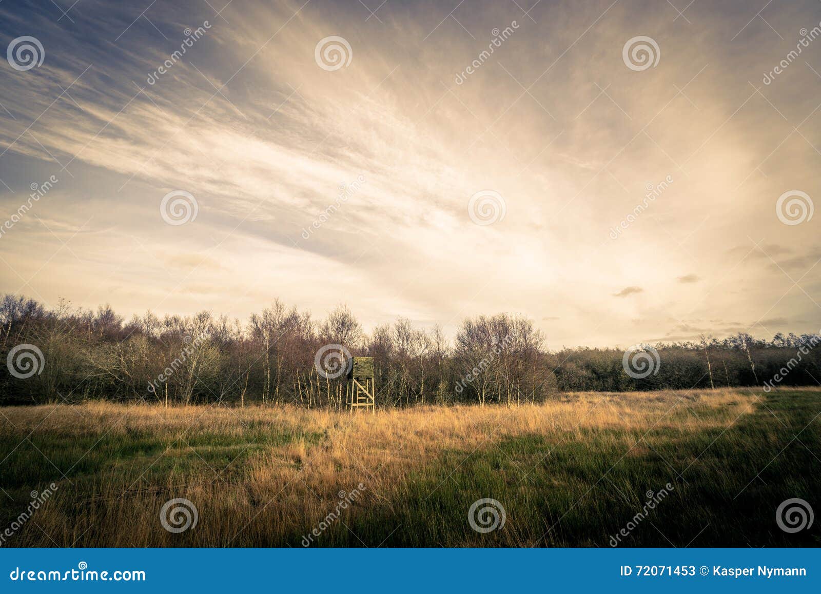 Hunting Tower in Autumn Scenery Stock Image - Image of ladder, hide ...