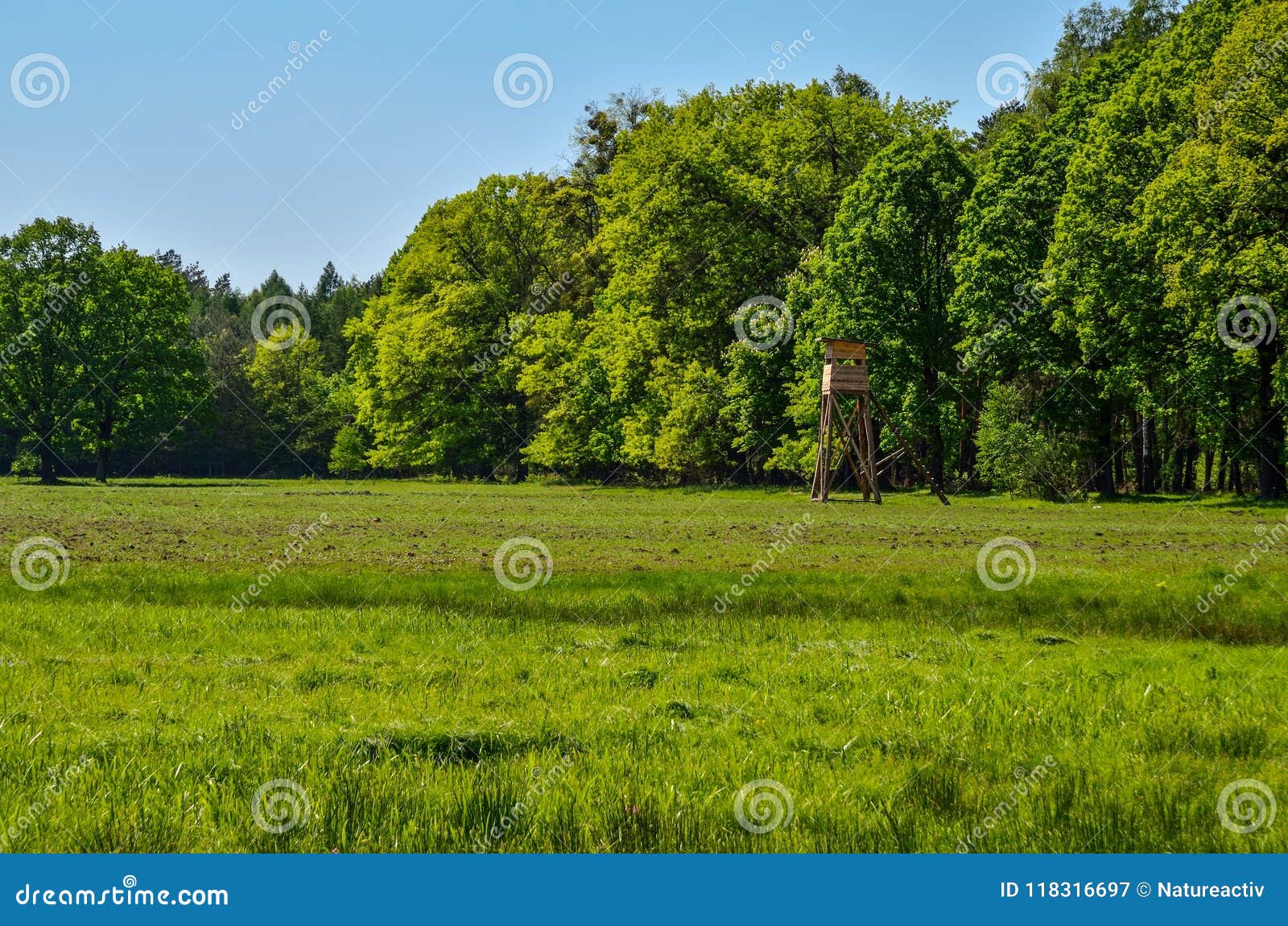 Sunny spring landscape. stock image. Image of rural - 118316697