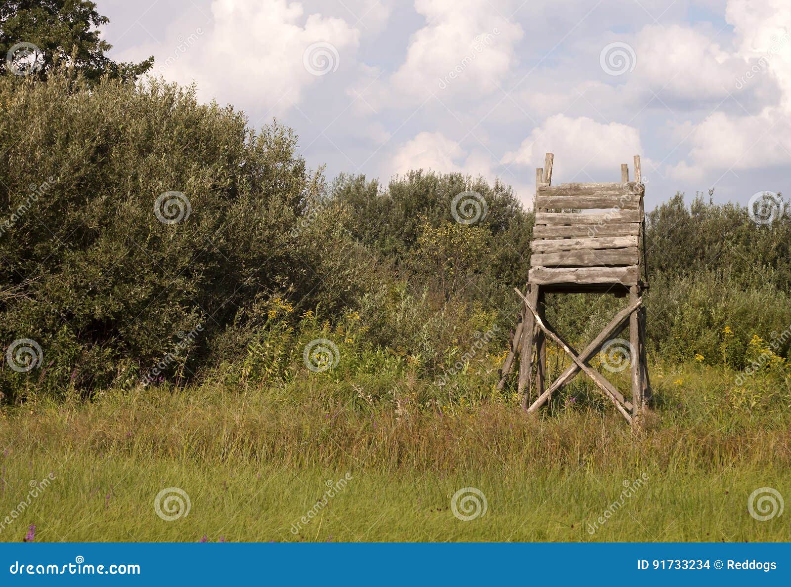 Hunting tower stock photo. Image of landscape, hunting - 91733234