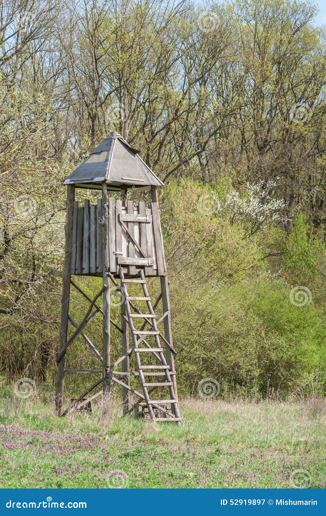 Hunting tower stock image. Image of deer, ladder, view - 52919897