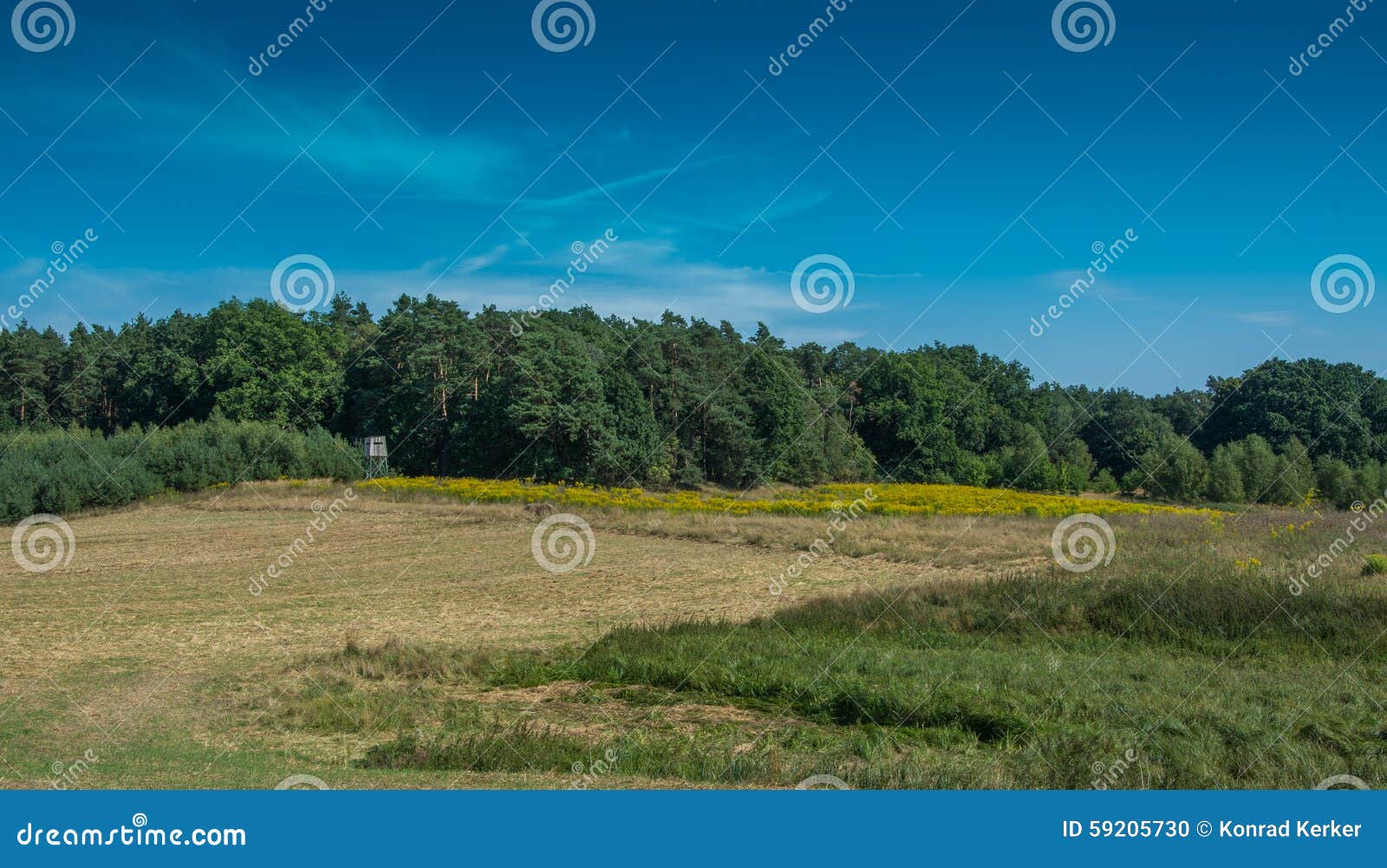 Hunting Tower among the Trees and Bushes Stock Photo - Image of ...