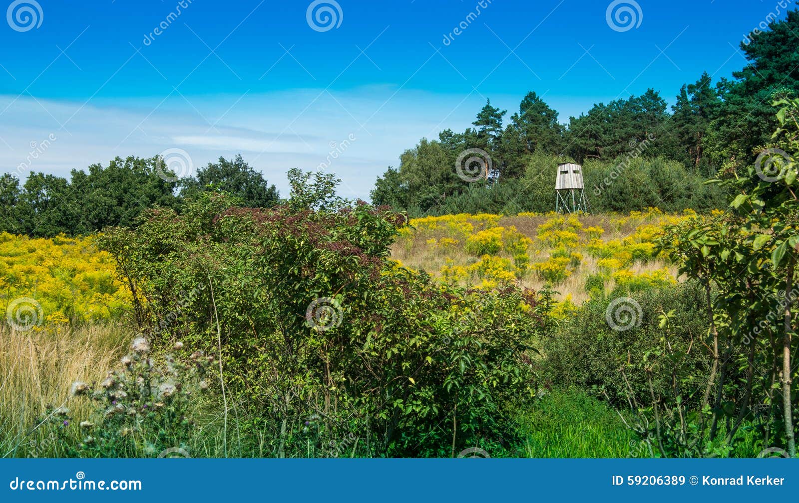 Hunting Tower among the Trees and Bushes Stock Image - Image of grass ...