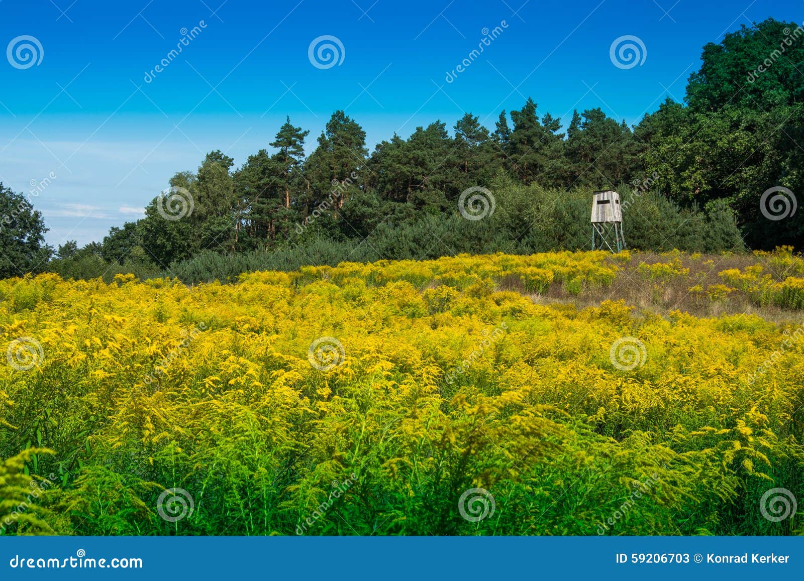 Hunting Tower among the Trees and Bushes Stock Image - Image of hide ...