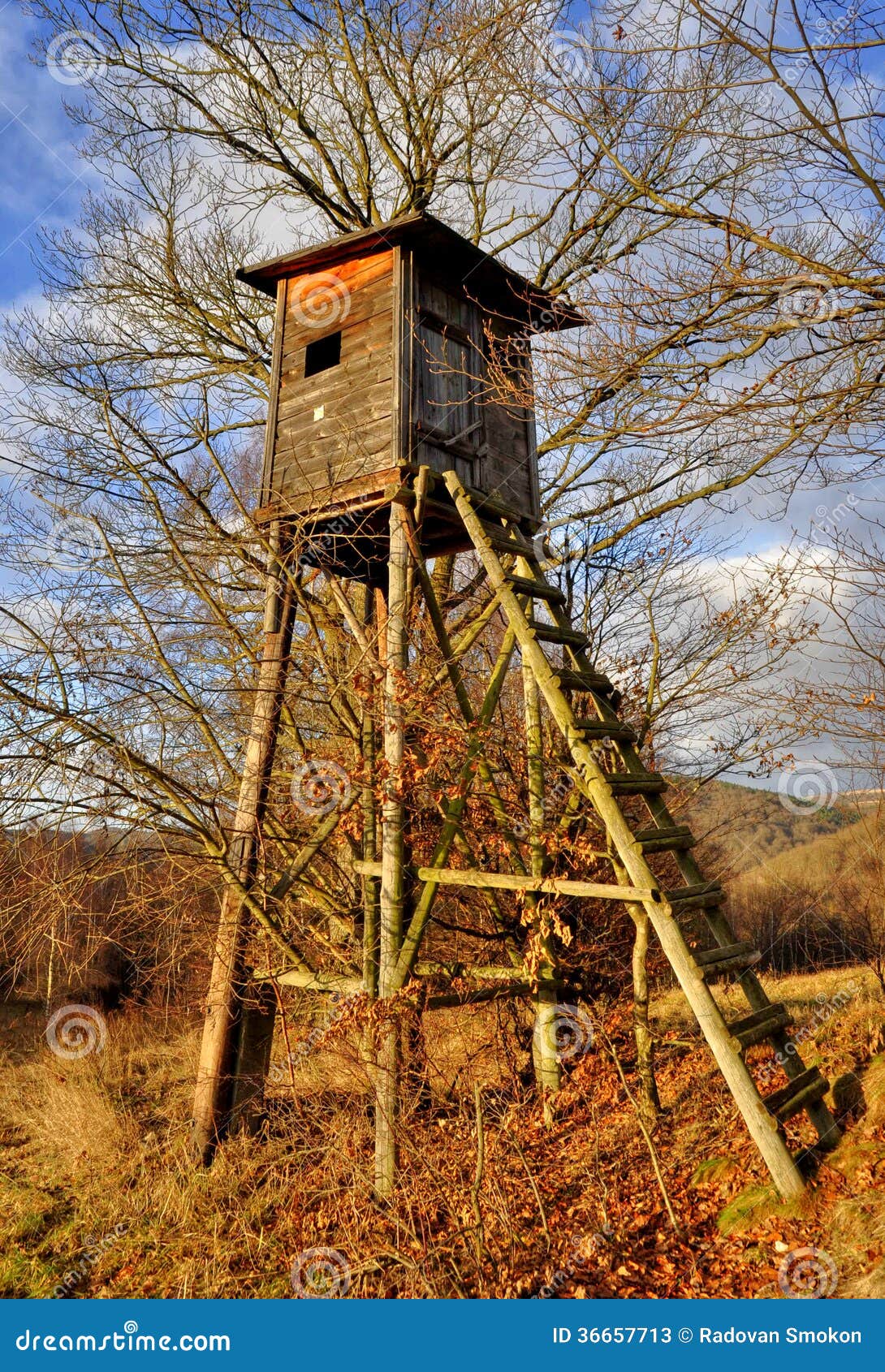 Hunting tower stock image. Image of ambush, hide, hunt - 36657713