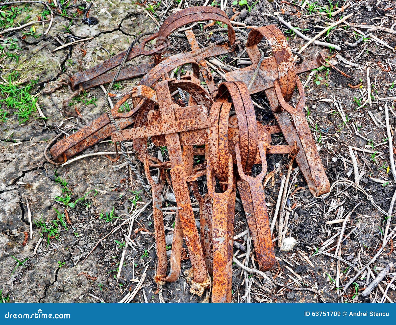 103 Hunting Traps Photos - Free & Royalty-Free Stock Photos from Dreamstime