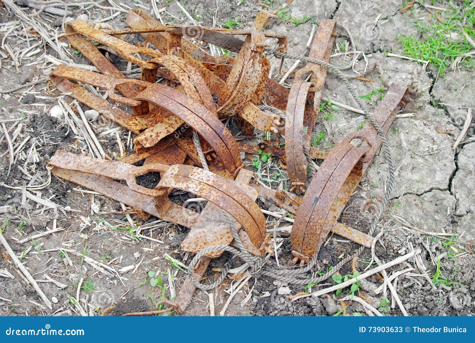 Hunting Traps in Natural Reserve of Danube Delta - Romania Stock Image ...