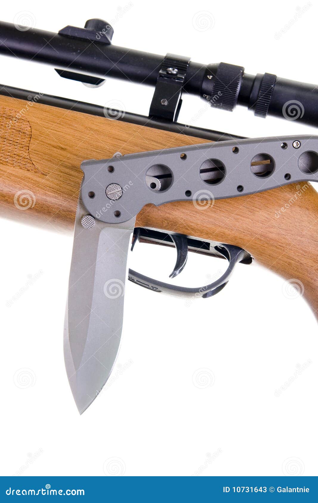 Hunting weapon and knife stock image. Image of rifle - 10731643