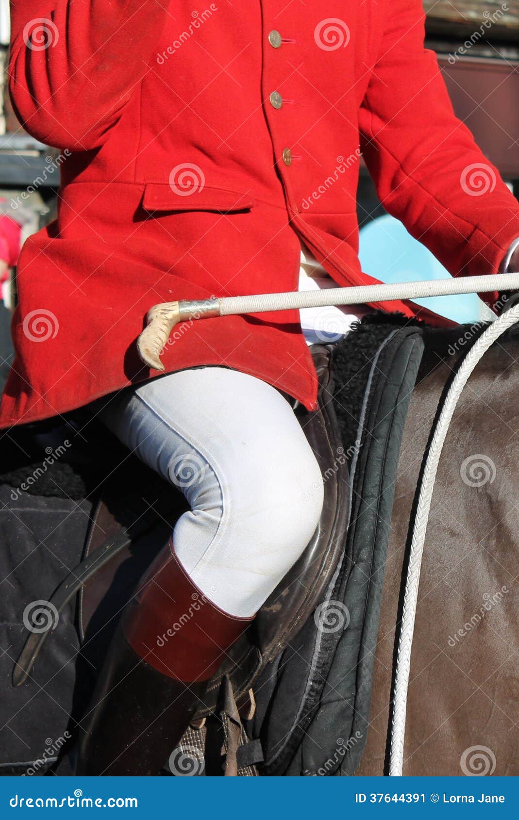 Fox Hunt Huntsman Ready Horse Whip Jacket Stock, Photo, Photograph ...