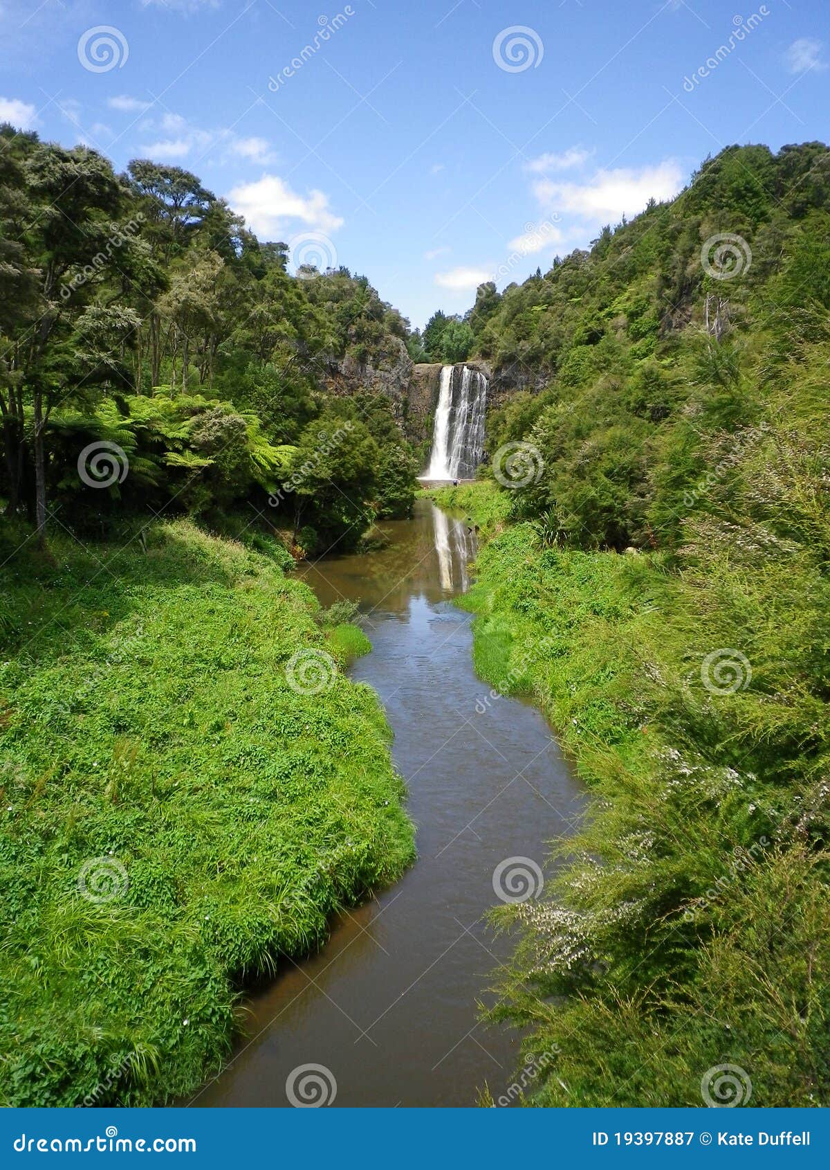 Hunua Falls stock image. Image of river, auckland, cascade - 19397887