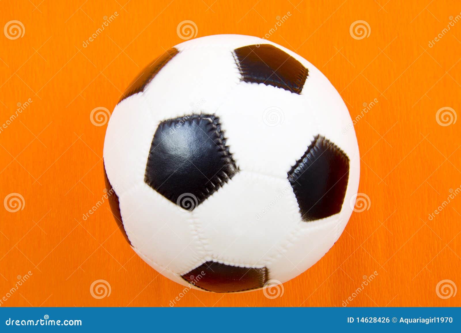 Hup de Hup Holanda foto de archivo. Imagen de tirador - 14628426