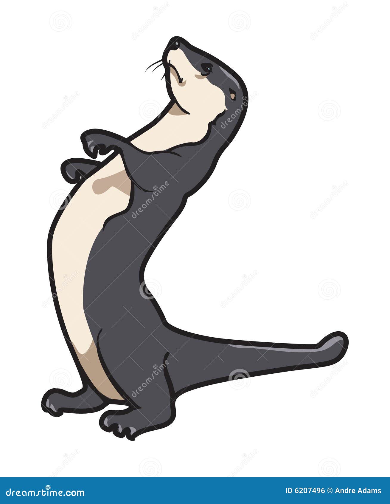 Hurón ilustración del vector. Ilustración de adopte, leal - 6207496