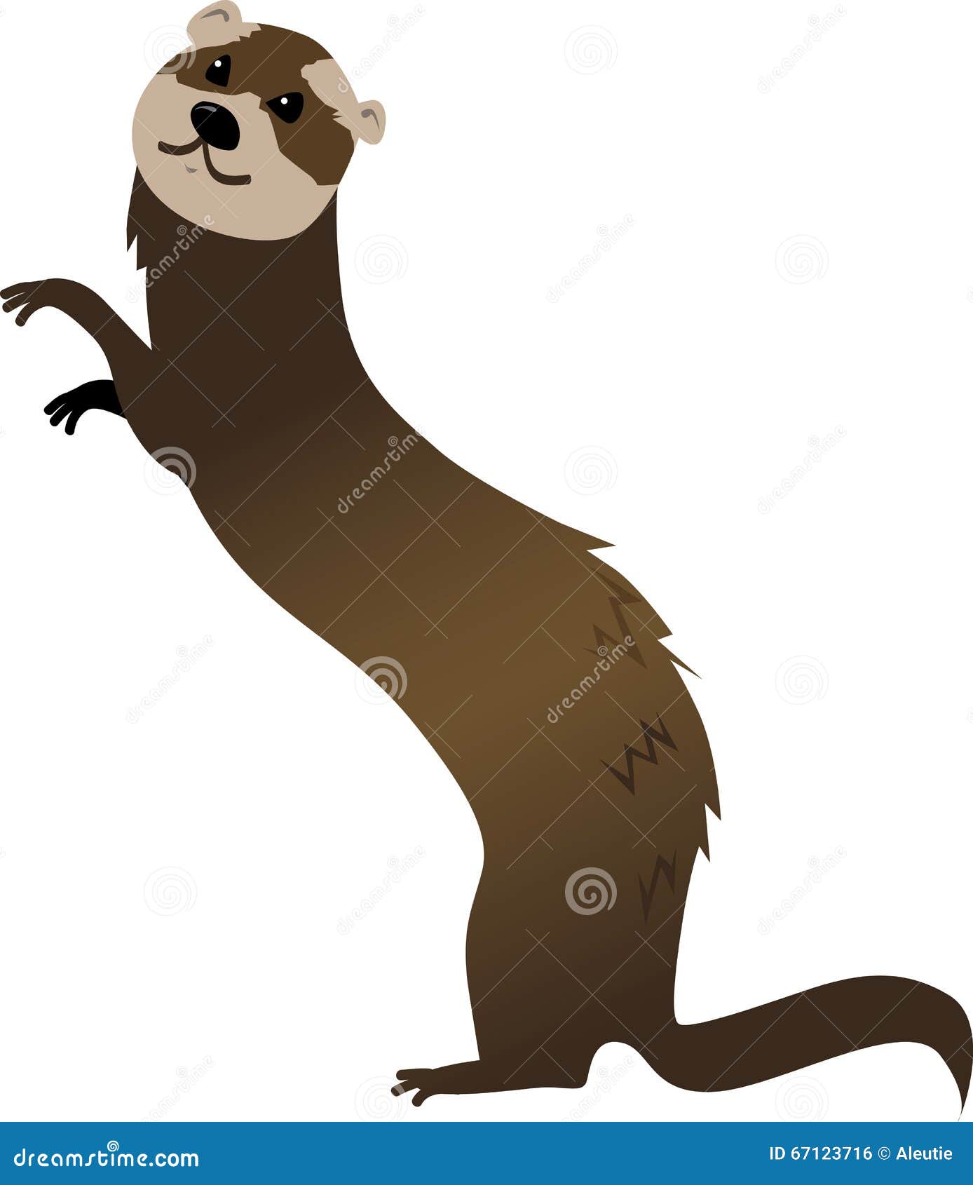 Hurón ilustración del vector. Ilustración de vector, lindo - 67123716