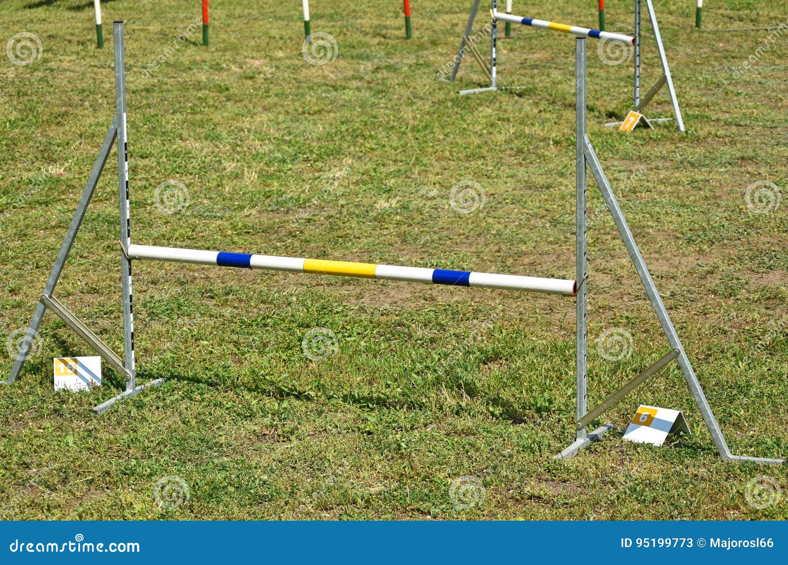 Hurdle Gates of the Dog Agility Contest Stock Image - Image of angle ...