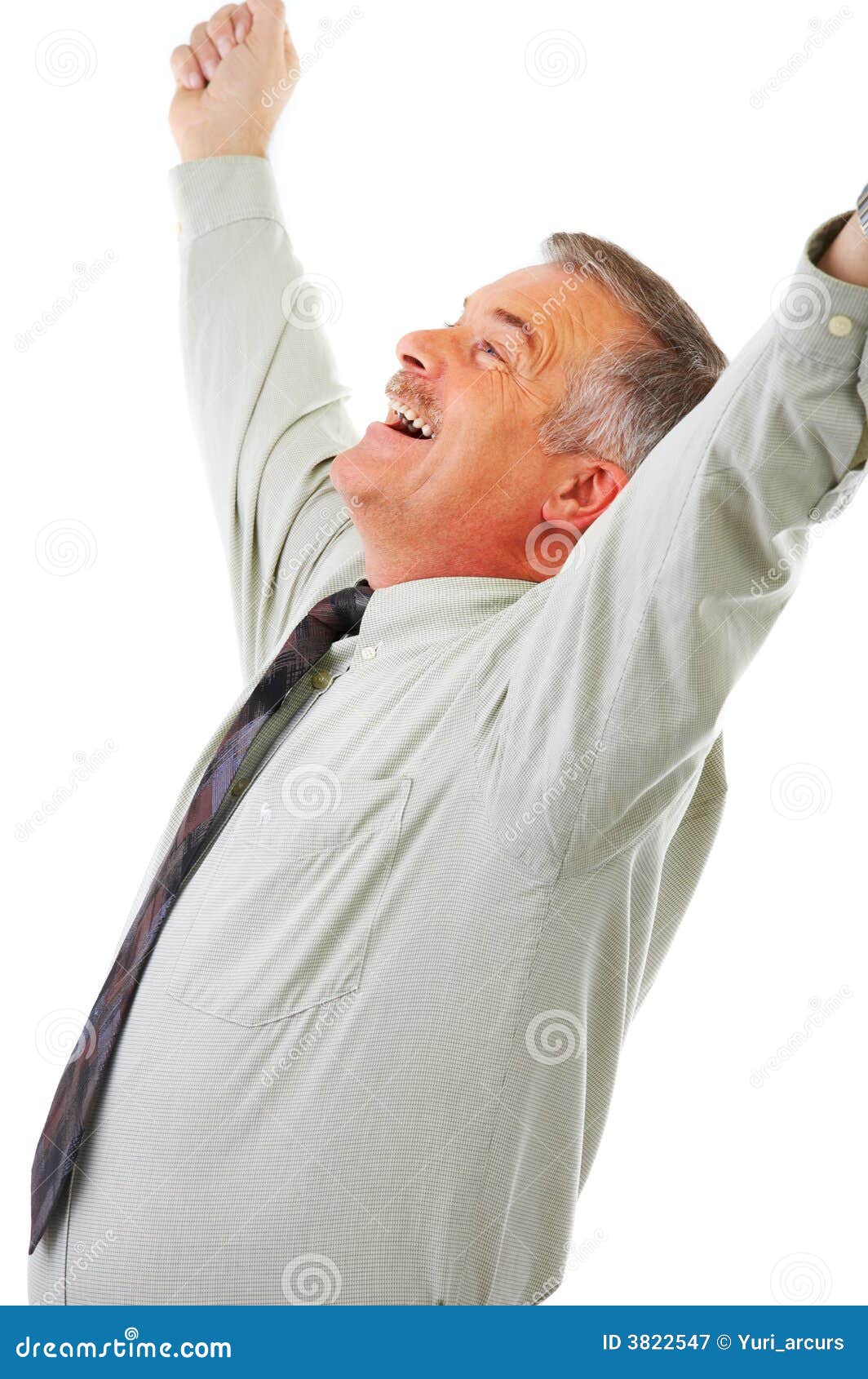 Hurray we did it! stock image. Image of goal, leader, businessman - 3822547