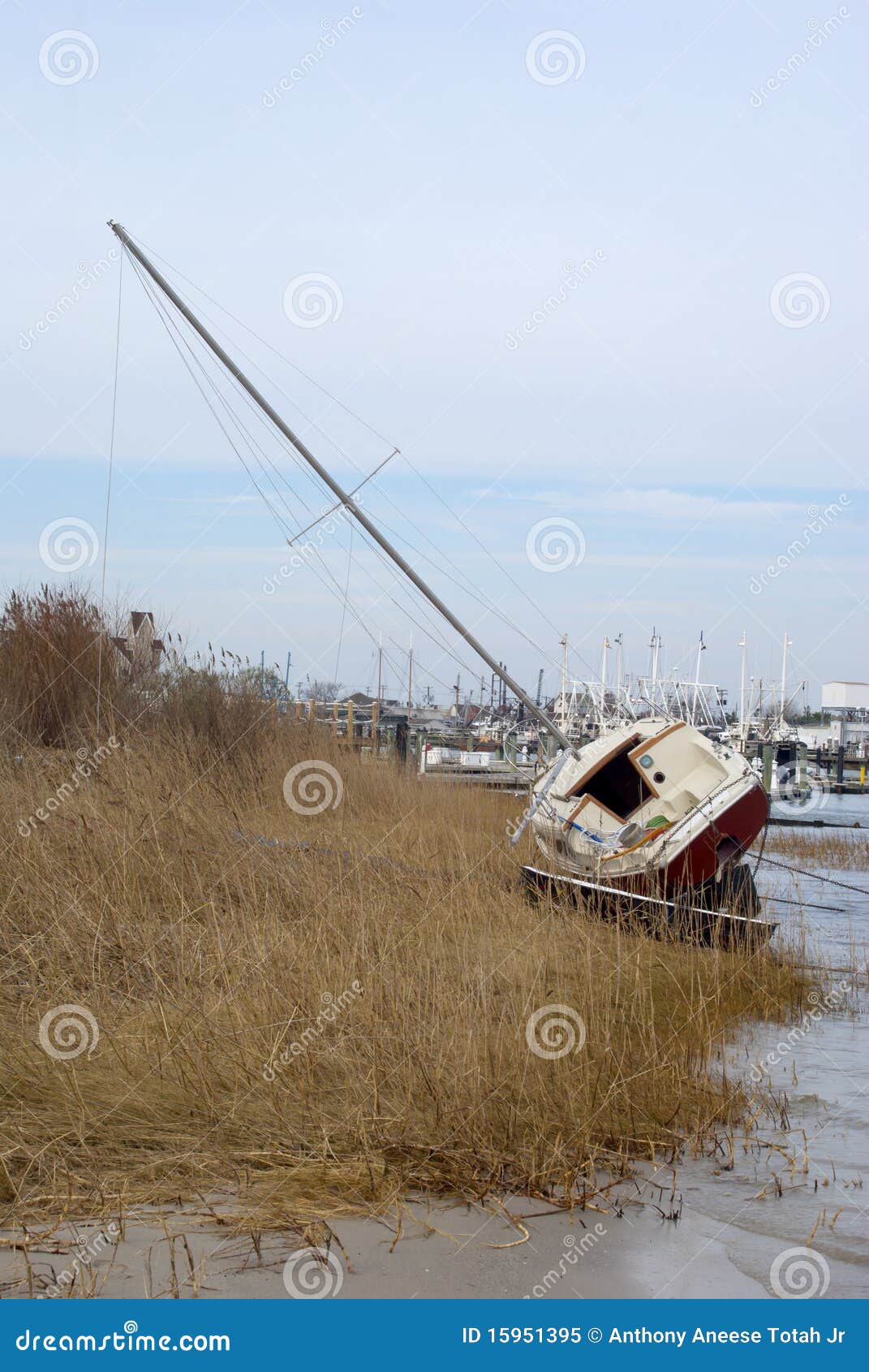 Hurricane Damage stock image. Image of dock, loss, marina - 15951395