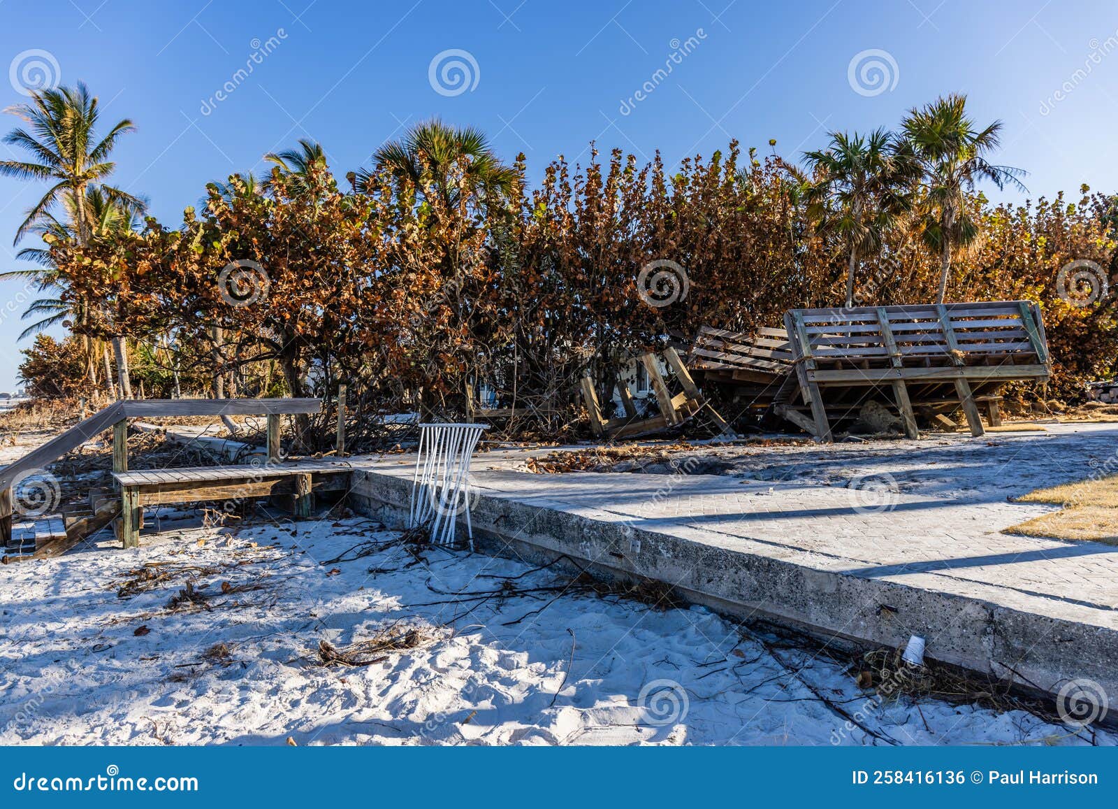 Hurricane Ian Naples Beach Florida Stock Photo - Image of snow, flower ...