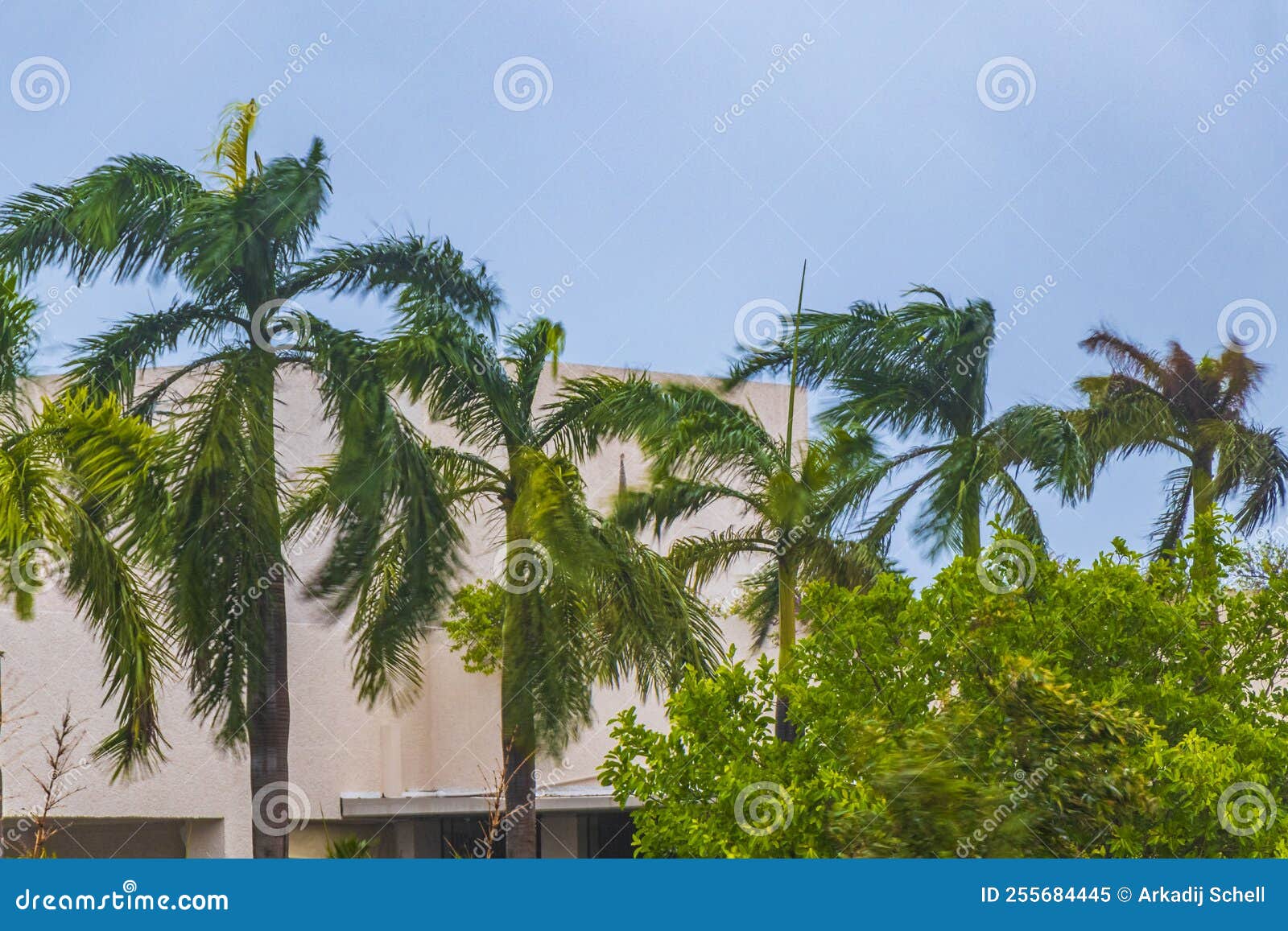Hurricane 2021 Playa Del Carmen Mexico Extreme Wind Storm Thunderstorms ...