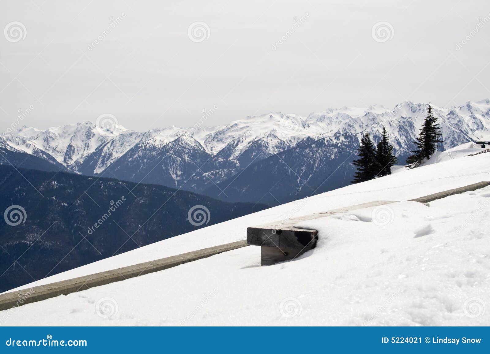 Hurricane Ridge stock image. Image of adventure, exploration - 5224021