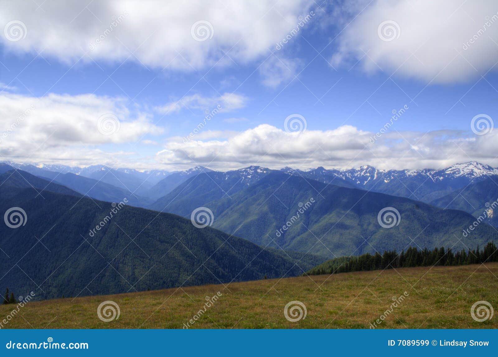 Hurricane Ridge stock image. Image of sunny, tourism, meadows - 7089599