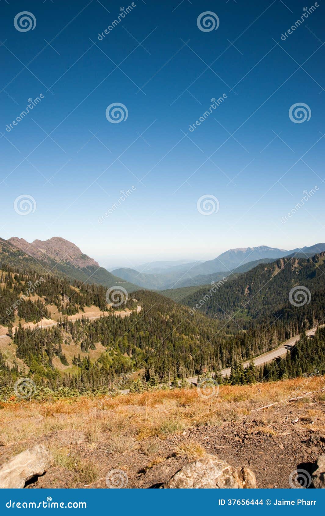 Hurricane Ridge stock photo. Image of hurricane, meadows - 37656444