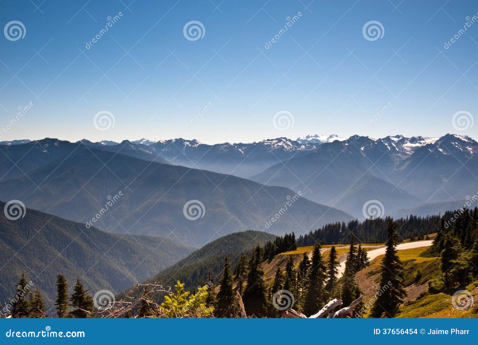 Hurricane Ridge stock photo. Image of peak, peninsula - 37656454