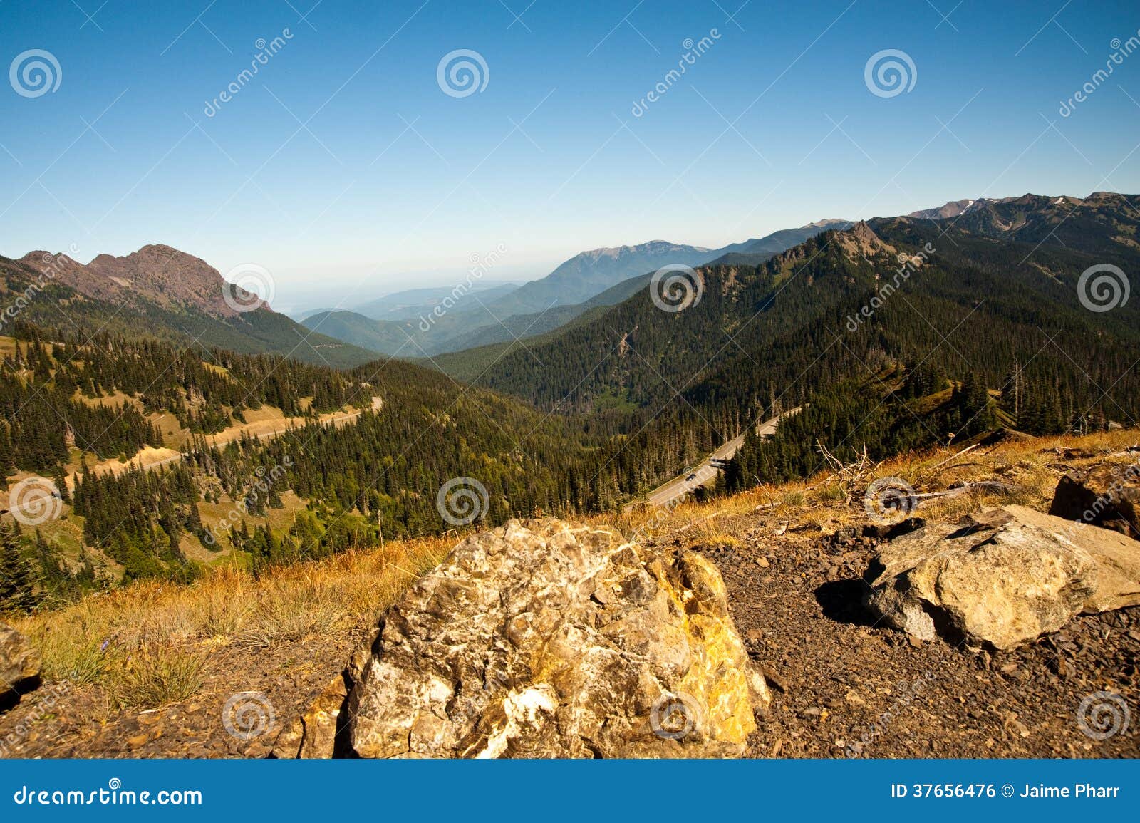 Hurricane Ridge stock photo. Image of landscape, hillside - 37656476