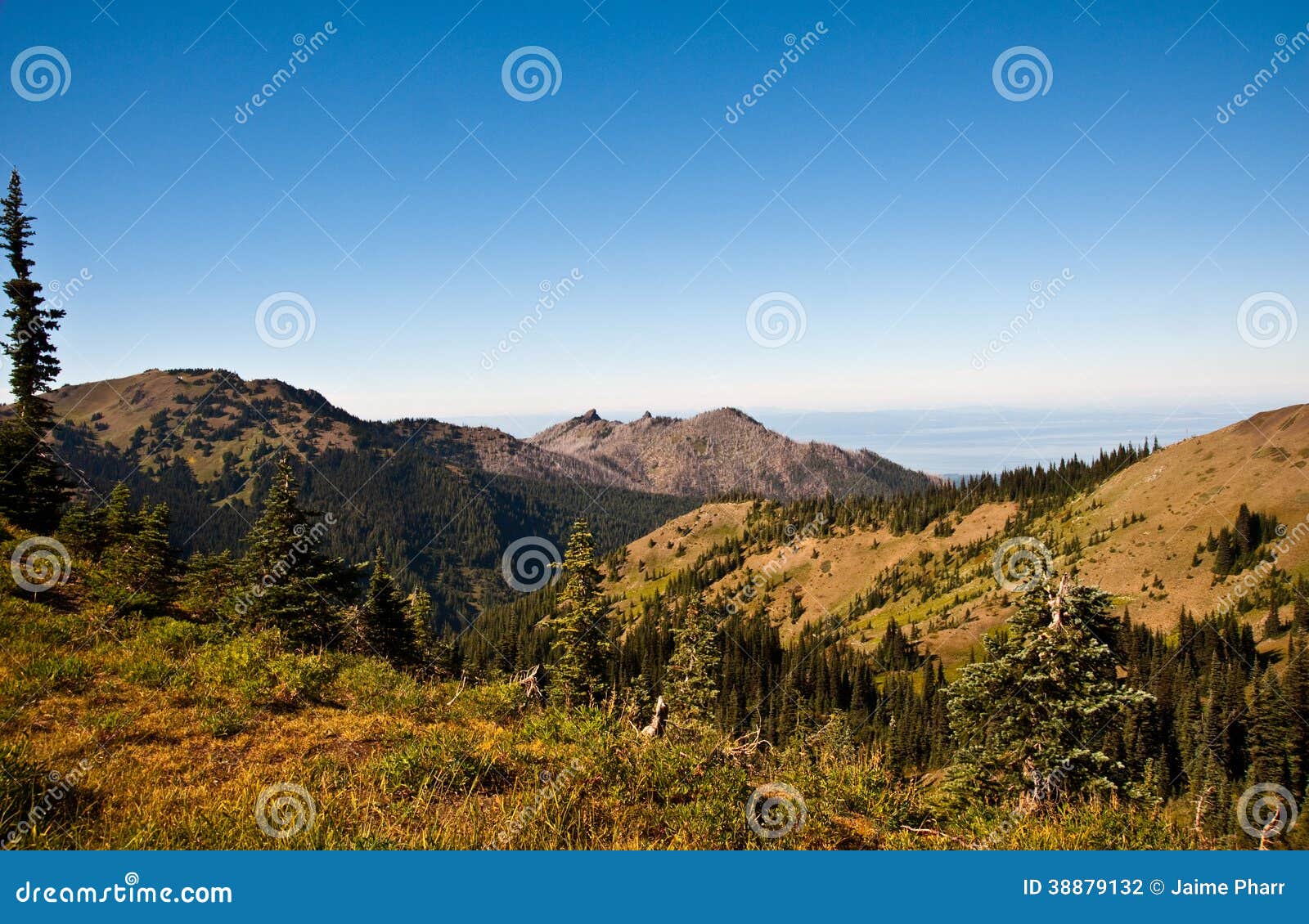 Hurricane Ridge stock photo. Image of mountain, pacific - 38879132