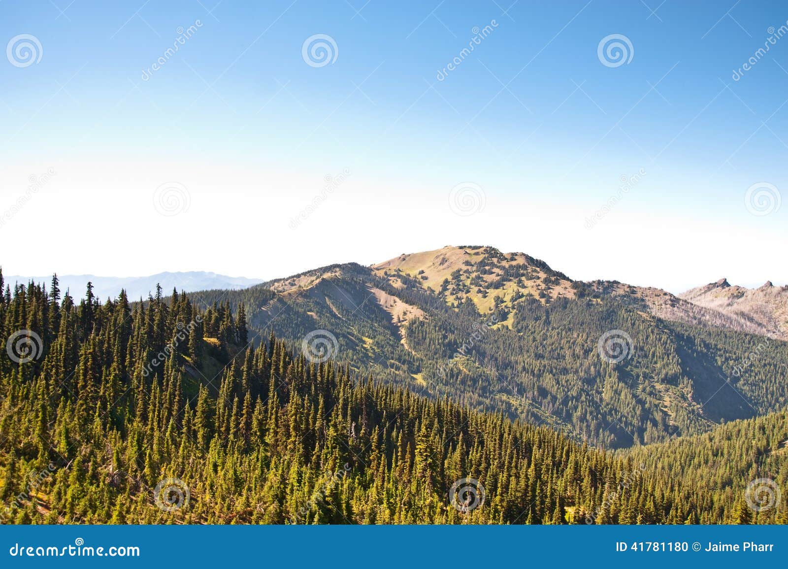 Hurricane Ridge stock photo. Image of hurricane, national - 41781180