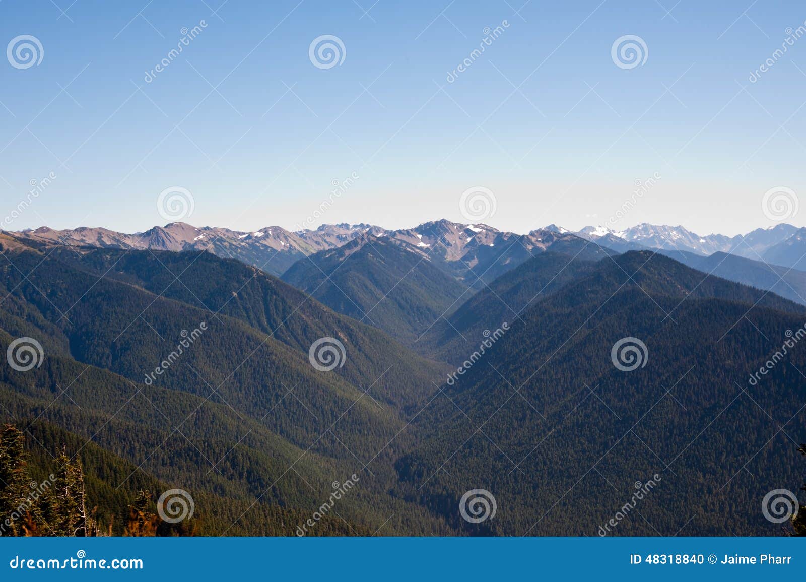 Hurricane Ridge stock photo. Image of national, range - 48318840