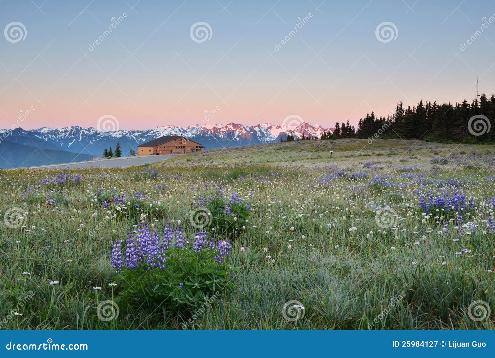 Hurricane Ridge sunrise stock image. Image of morning - 25984127