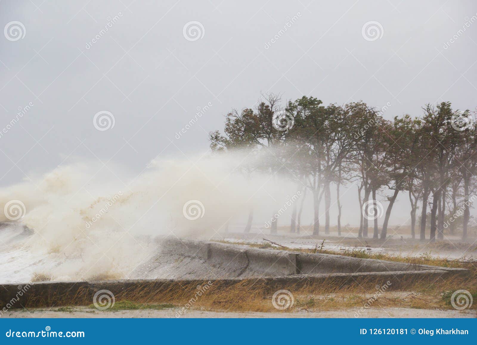 A hurricane at sea. stock image. Image of azov, landscape - 126120181