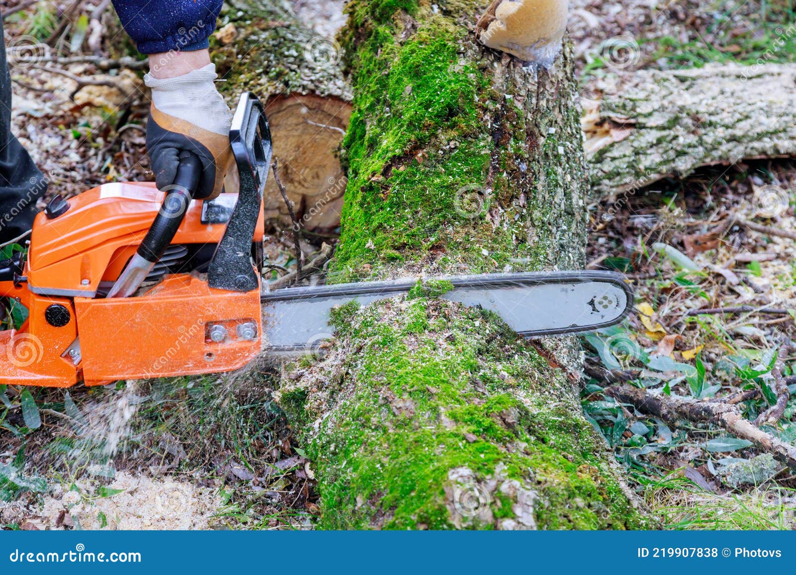 After a Hurricane Storm Damage Trees with Professional City Utilities ...