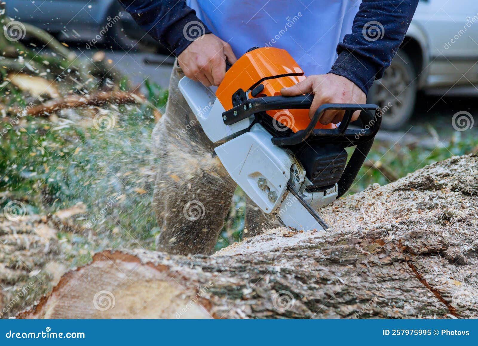 During a Hurricane There Was a Worker with a Chainsaw Sawing through ...