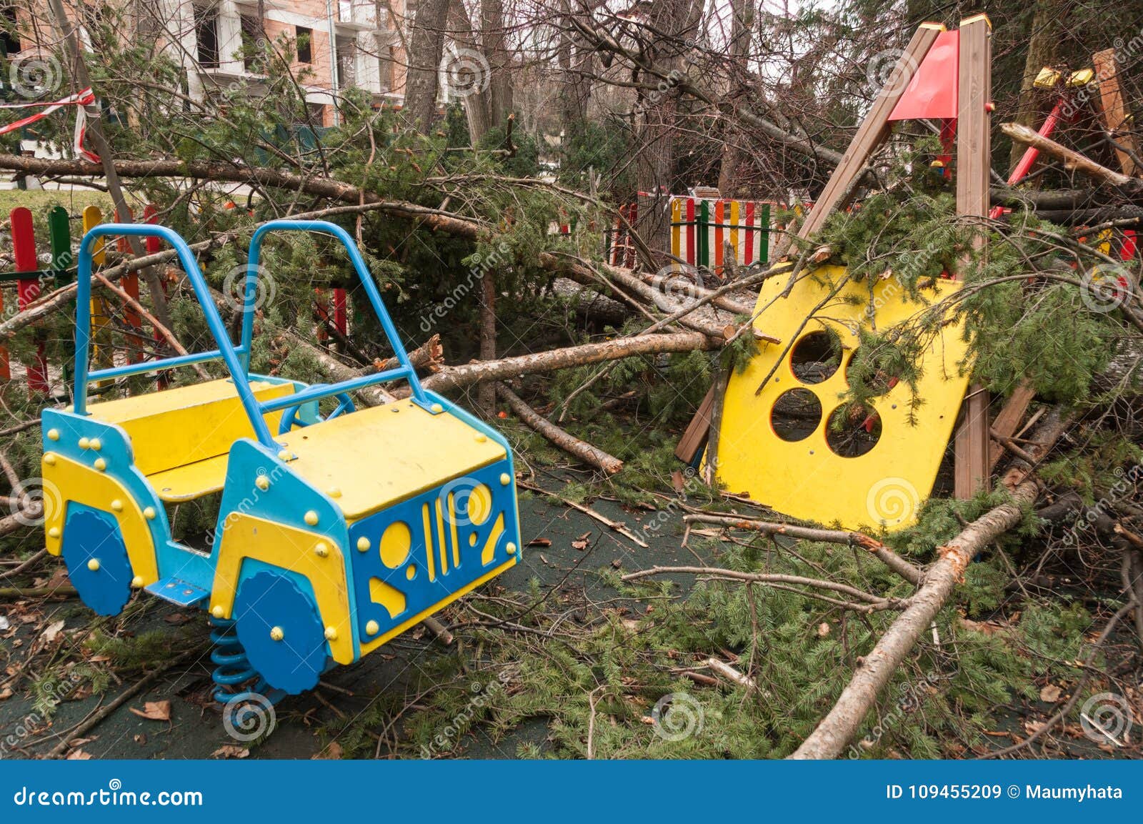 Hurricane Trees Fell on the Playground Stock Image - Image of ...