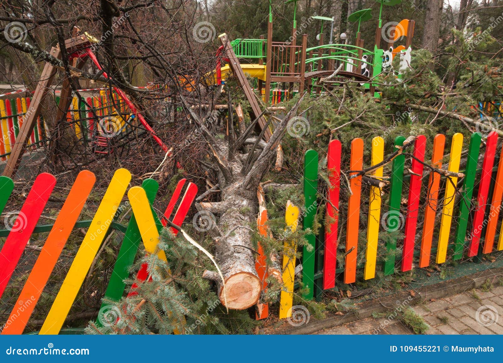 Hurricane Trees Fell on the Playground Stock Image - Image of nature ...