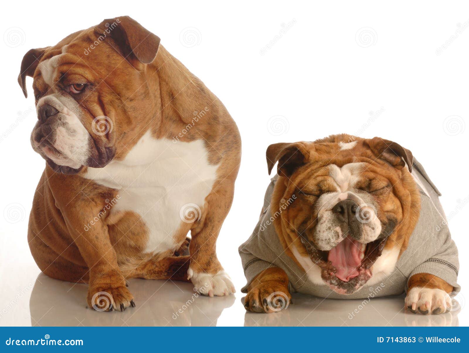 Hurt feelings stock image. Image of laugh, dejected, distress - 7143863