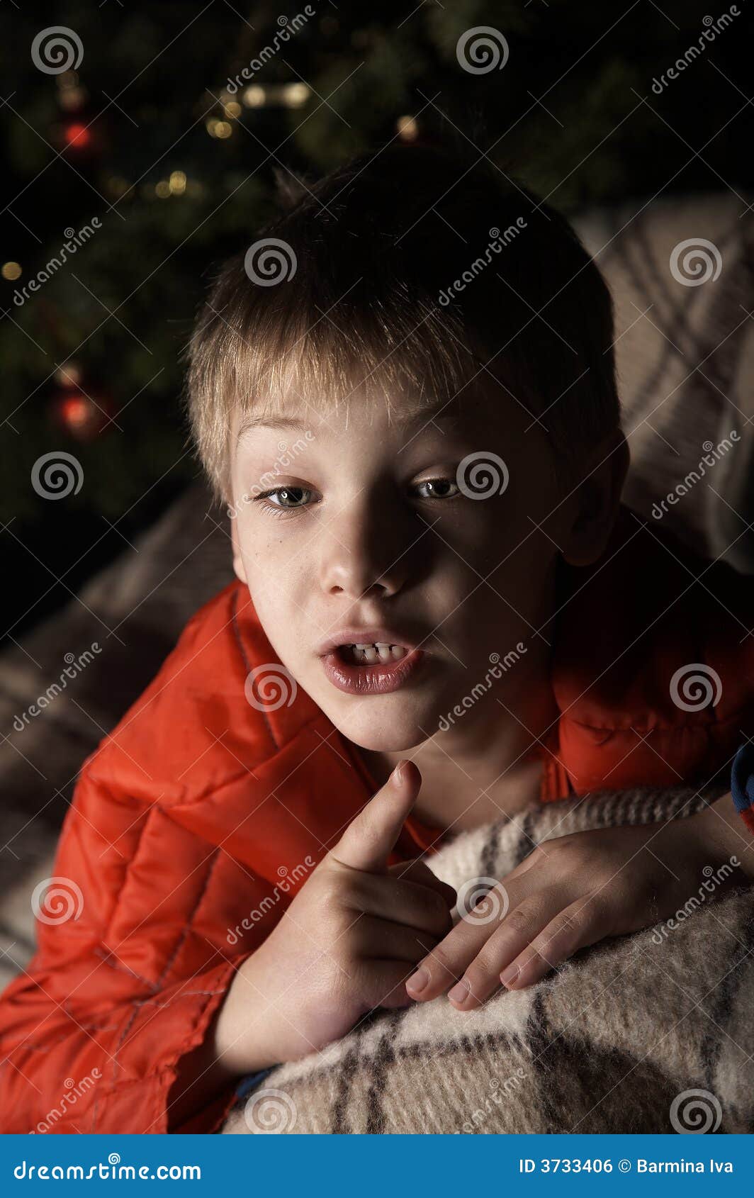 Hush! stock photo. Image of clause, santa, white, tree - 3733406