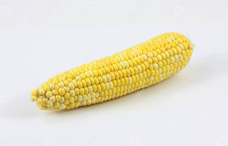 Husked Corn Angle stock image. Image of quickly, vegetable - 14542787