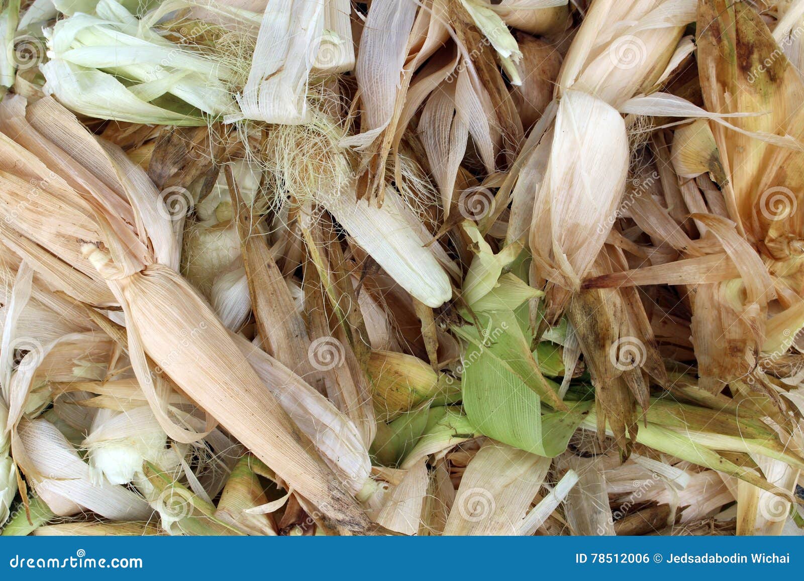 Husks Corn Background Stock Photography | CartoonDealer.com #78512006
