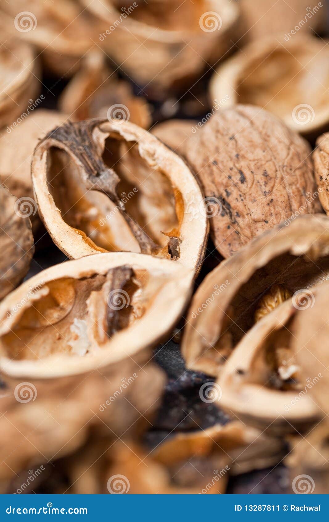 Husks of walnuts stock image. Image of brown, shelled - 13287811