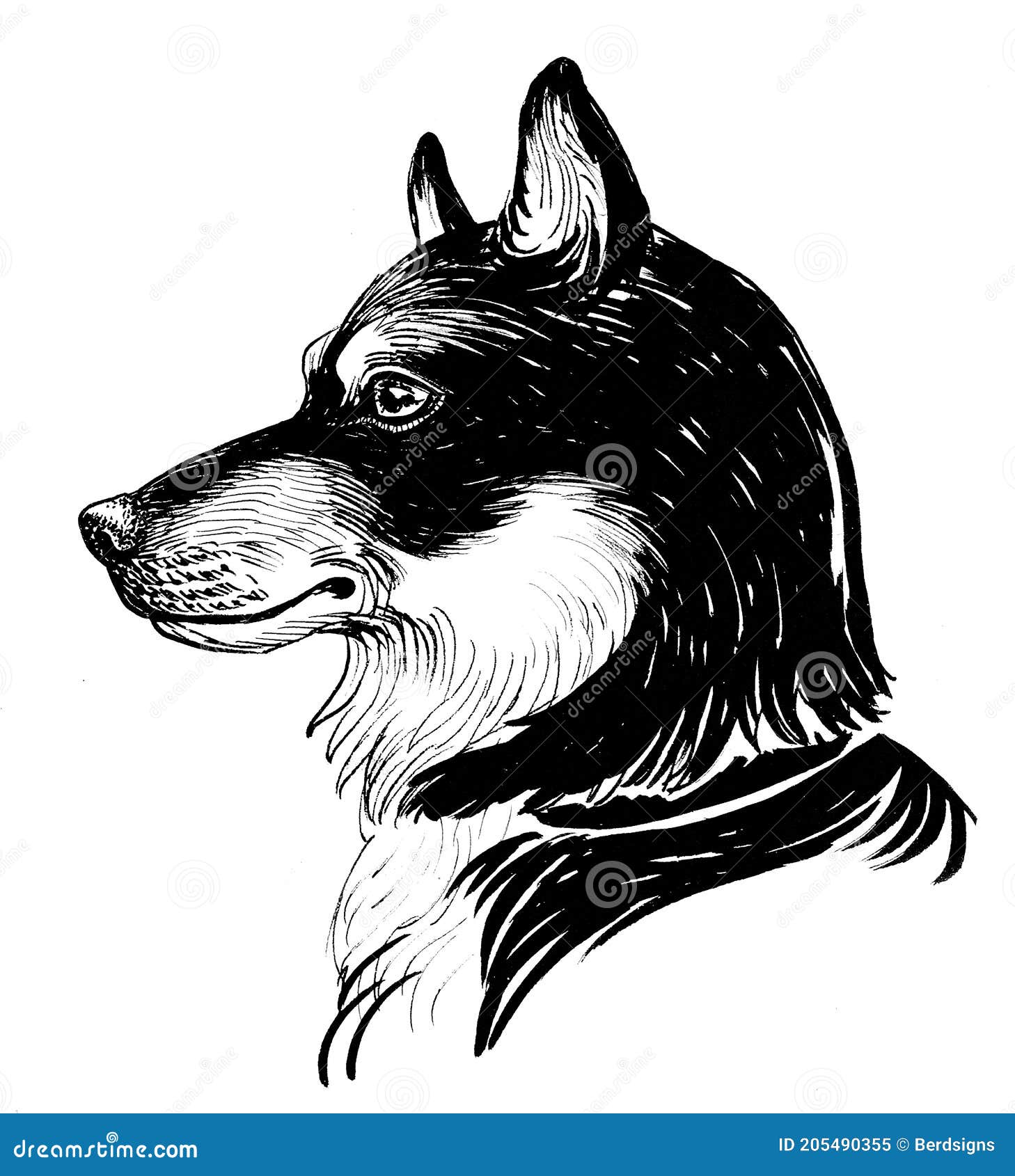 Husky head stock illustration. Illustration of black - 205490355