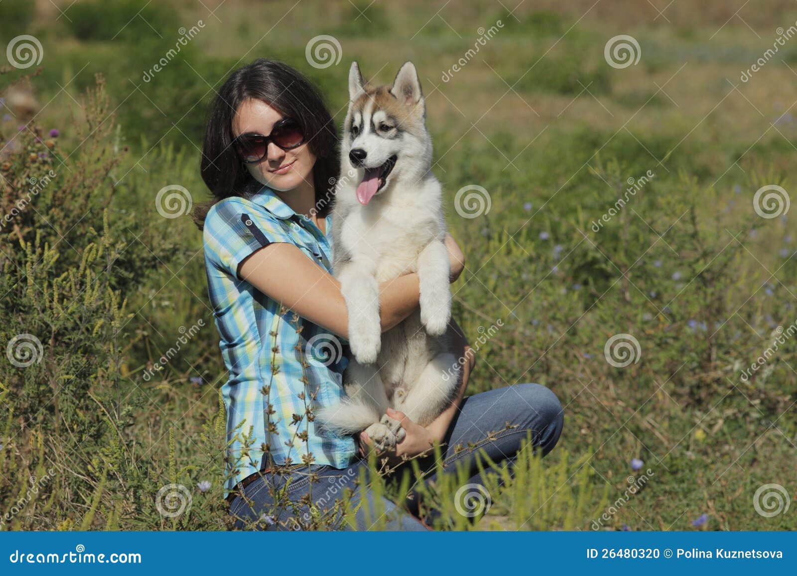 Husky puppy with owner stock photo. Image of knowledge - 26480320