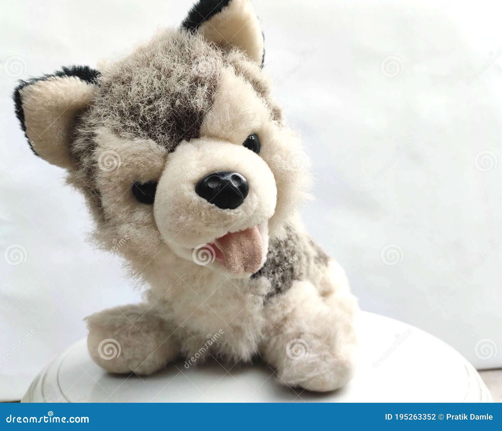 A Husky Puppy Soft Toy stock photo. Image of friends - 195263352
